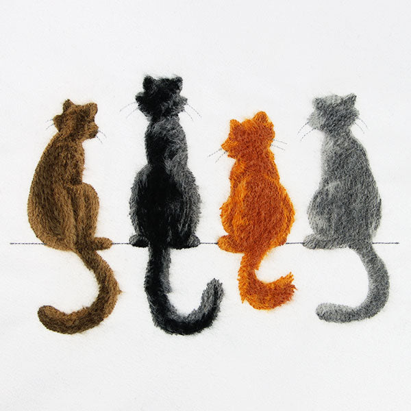 Brushed Kitty Border – Urban Threads